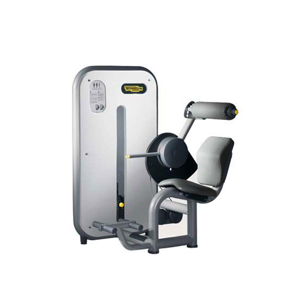 TECHNOGYM ELEMENT LINE LOWER BACK - Roblo Services
